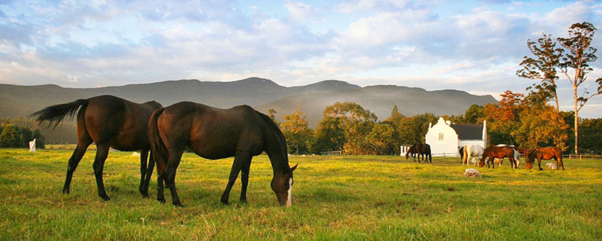 Kurland, The Crags, Plettenberg Bay - South Africa Sun