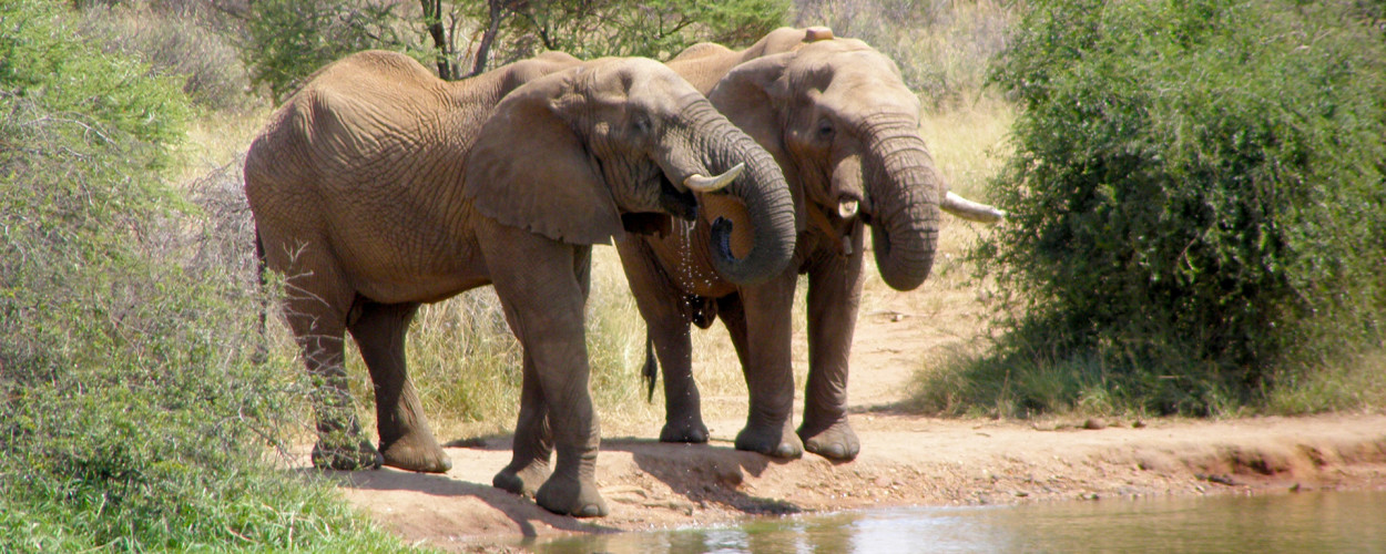 Eastern Cape - South Africa Sun